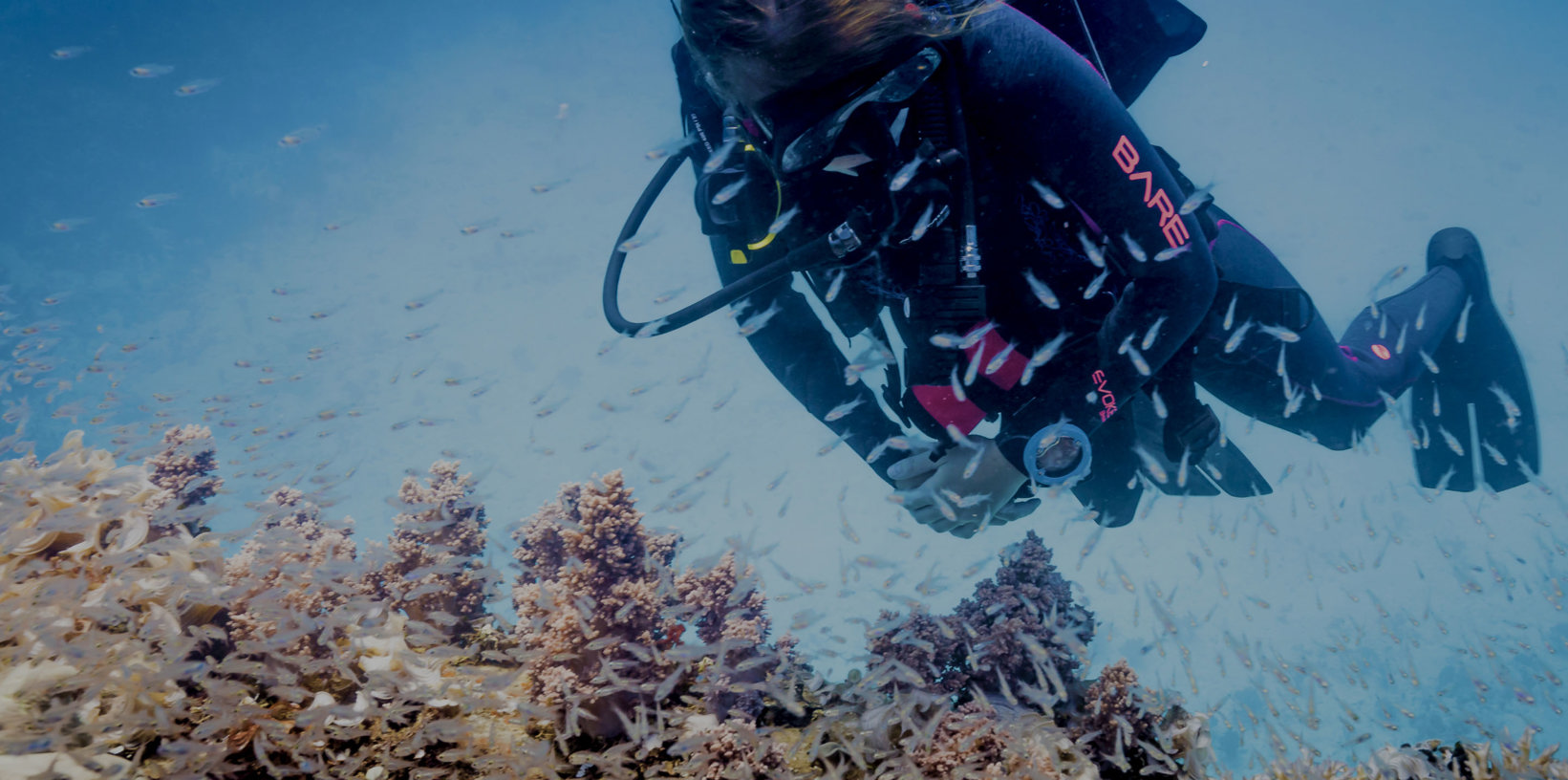 Top Suunto Dive Computers and Dive Watches 2024