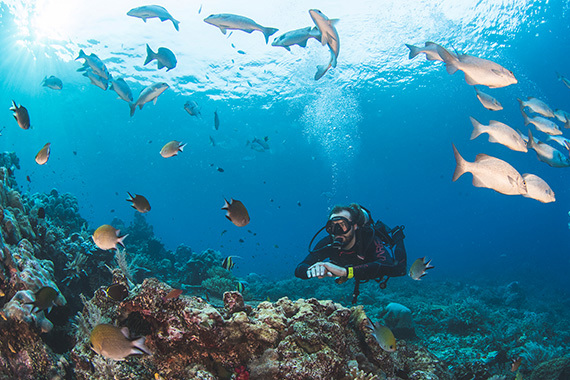 5 inspiring coral reef restoration projects